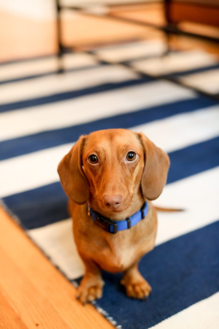 10 Things You Don't Know About Noodle