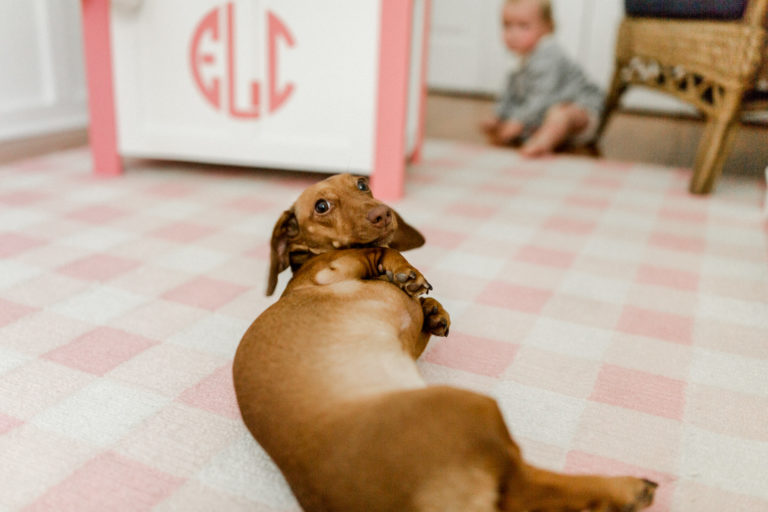 Monogrammed Toy Chest