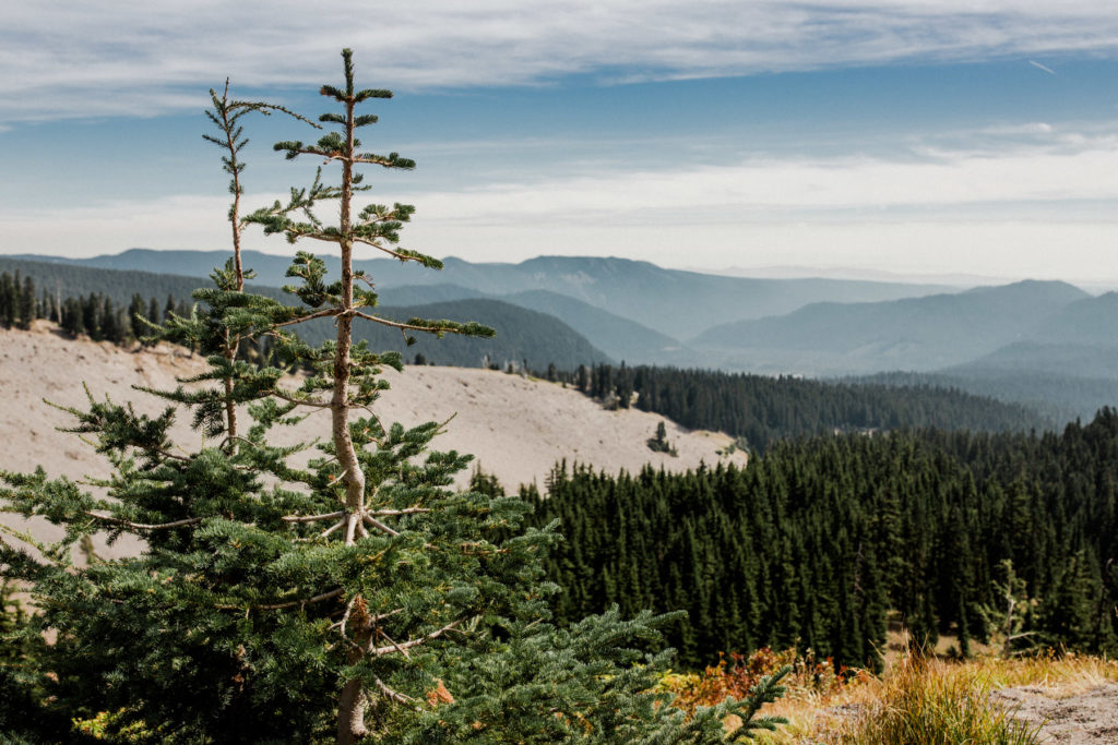 Mount Hood, Oregon - Trip Photos | Kelly in the City