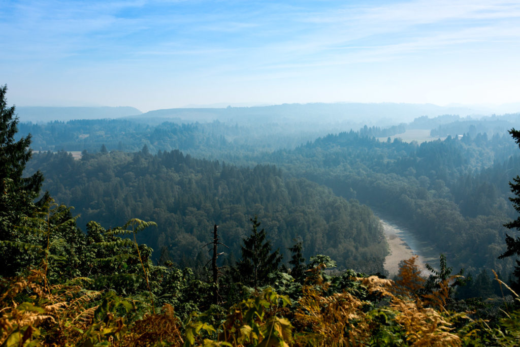 Mount Hood, Oregon - Trip Photos | Kelly in the City
