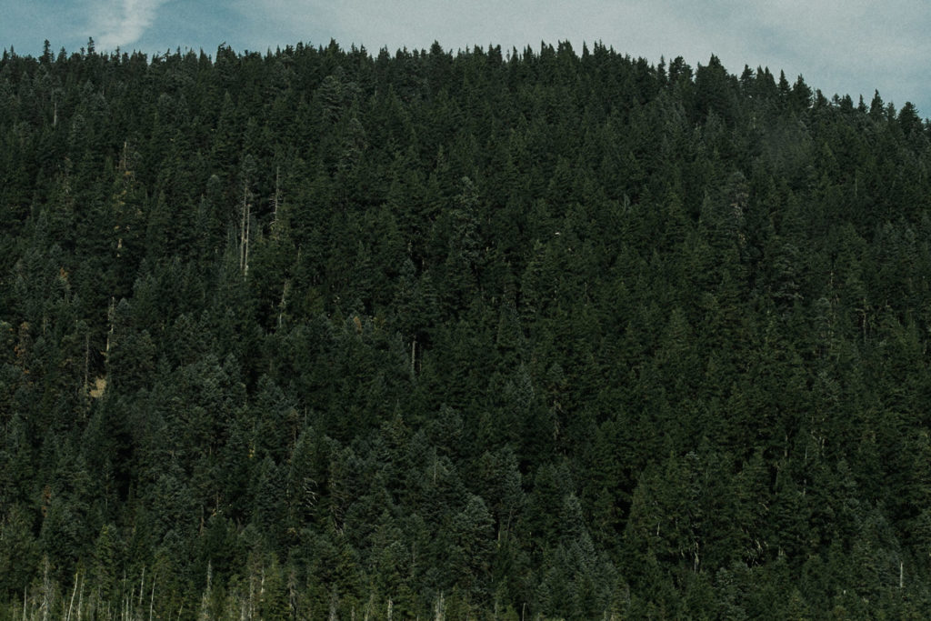Mount Hood, Oregon - Trip Photos | Kelly in the City