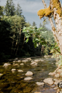 Mount Hood, Oregon - Trip Photos | Kelly in the City