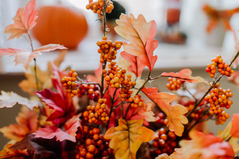 Easy Thanksgiving Decor Inspiration