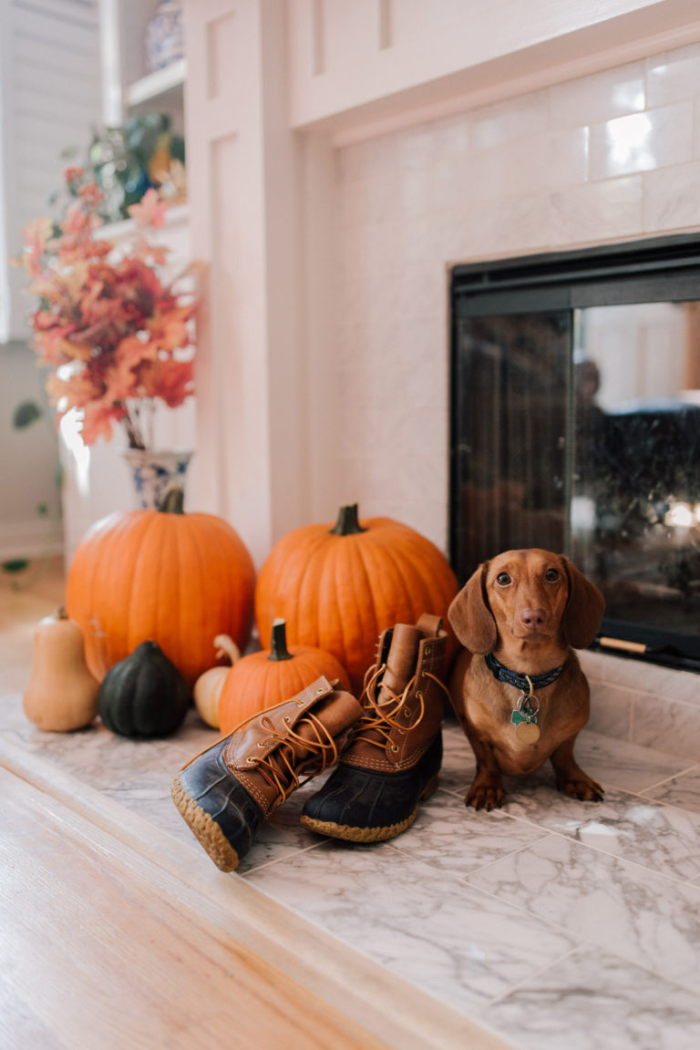 Easy Thanksgiving Decor Inspiration