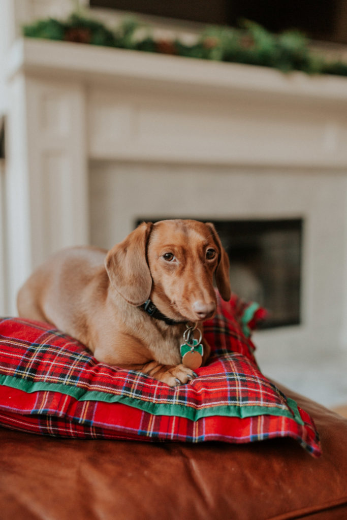 Preppy Christmas Decor