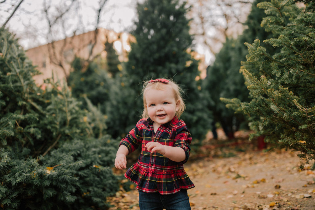Finding our Christmas Tree