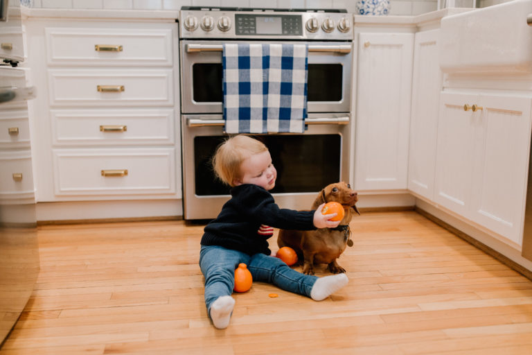 Preppy Kitchen Renovation: How To Make Your Kitchen Preppy