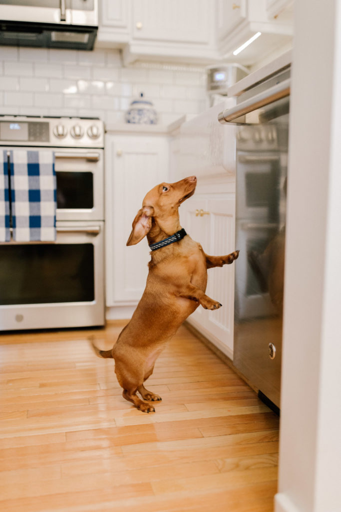 Preppy Kitchen Renovation: How To Make Your Kitchen Preppy