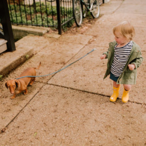 The Story of our Mini Dachshund