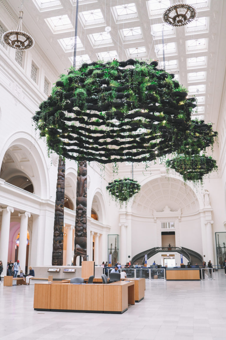 Visiting the Field Museum in Chicago