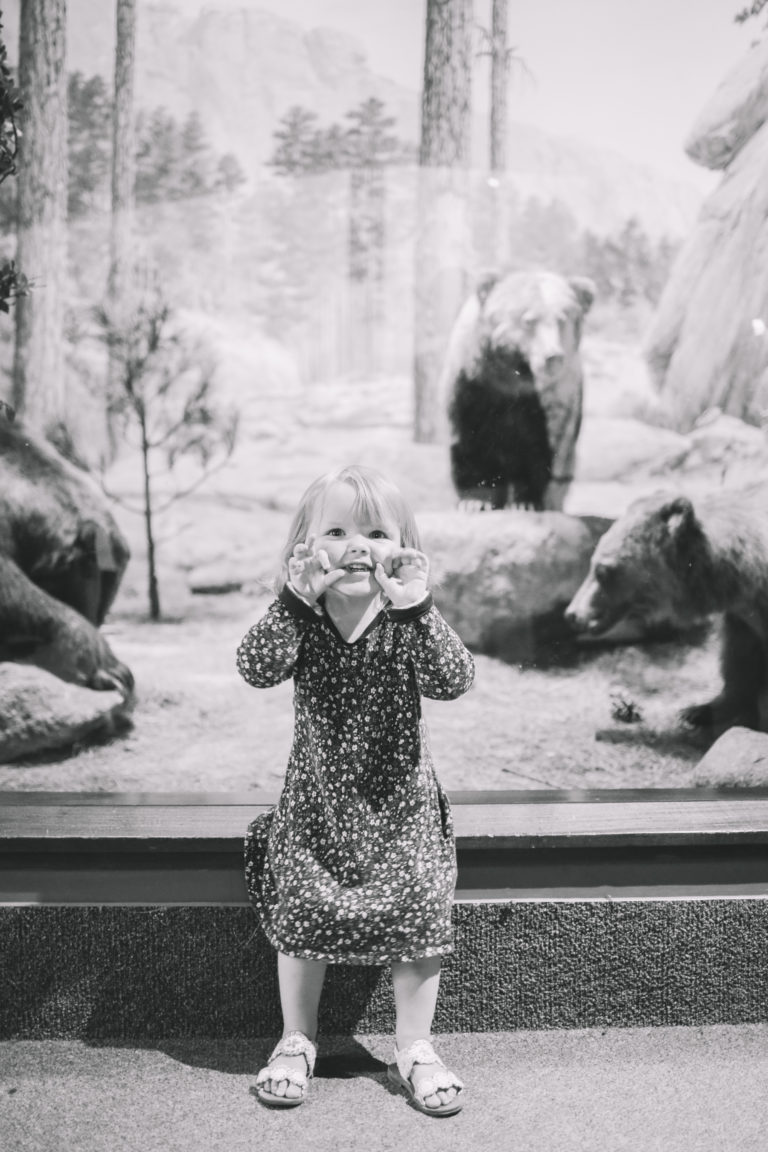 Visiting the Field Museum in Chicago