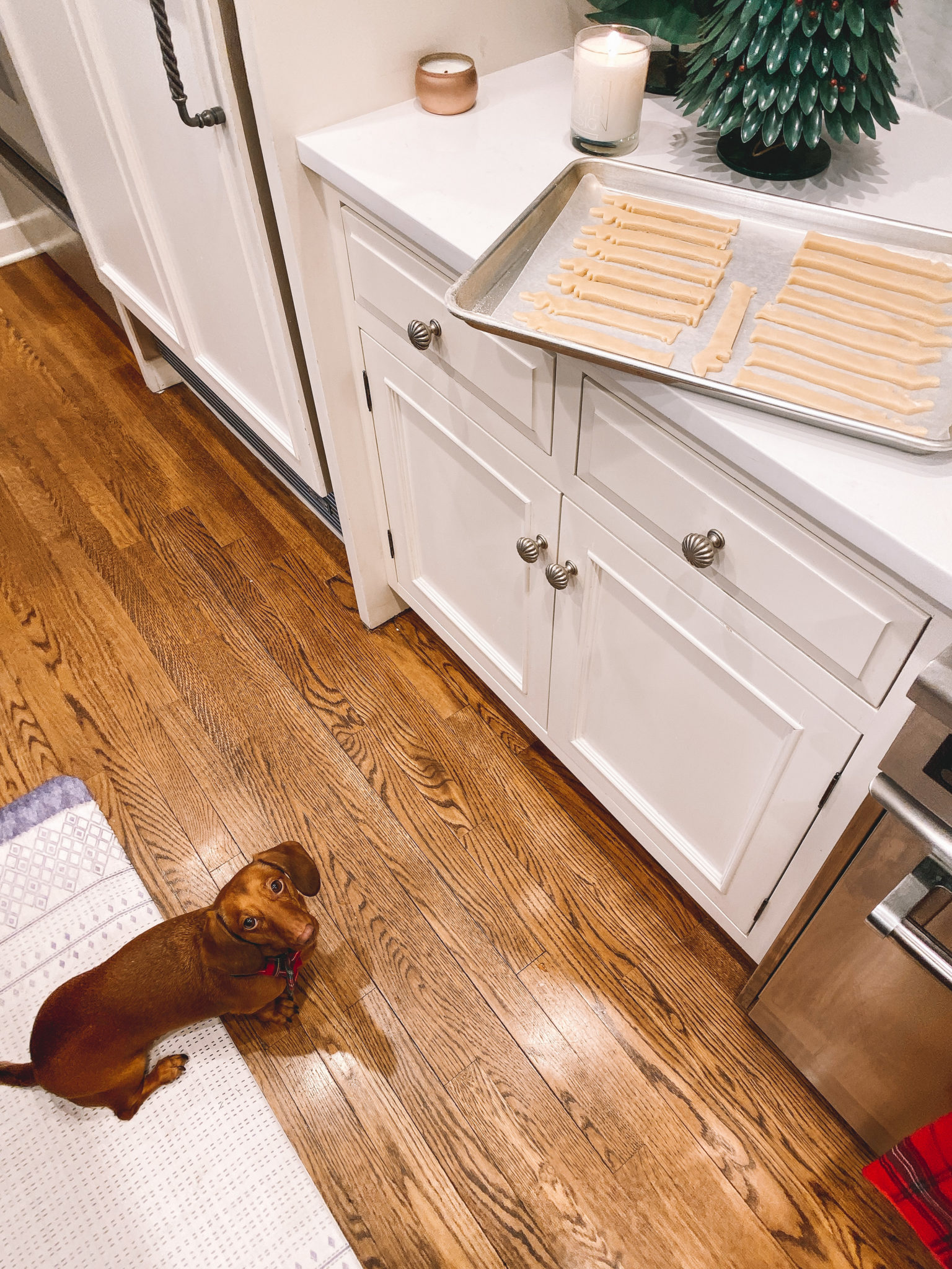 Dachshund Sugar Cookies | Kelly in the City | Lifestyle Blog