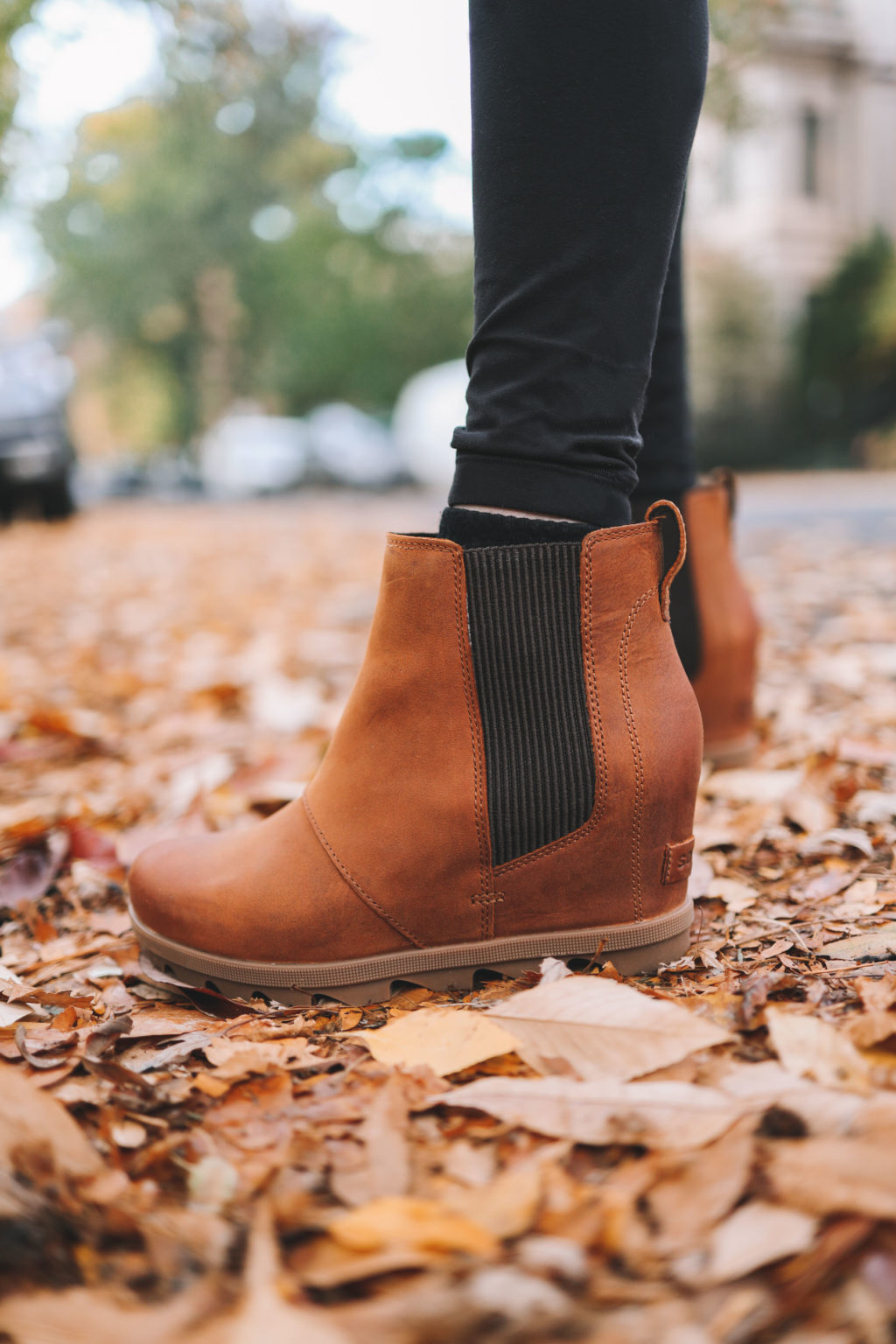 Backcountry Discount Code 15% Off Outerwear Favorites | Kelly in the City