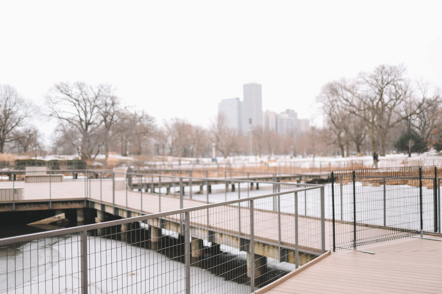 A Walk Through Lincoln Park Vol.3 | Kelly in the City