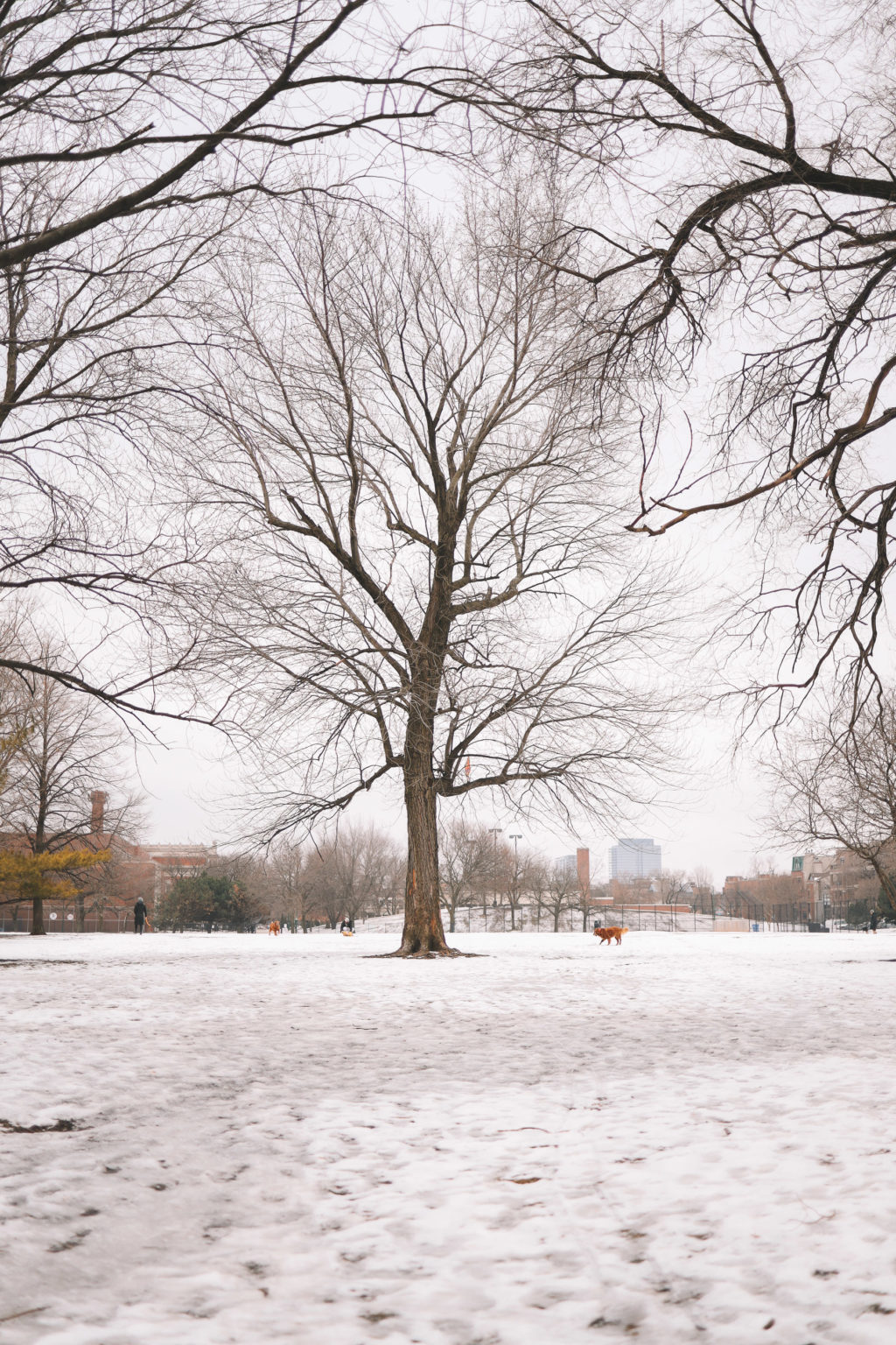 A Walk Through Lincoln Park | Kelly in the City | Lifestyle Blog