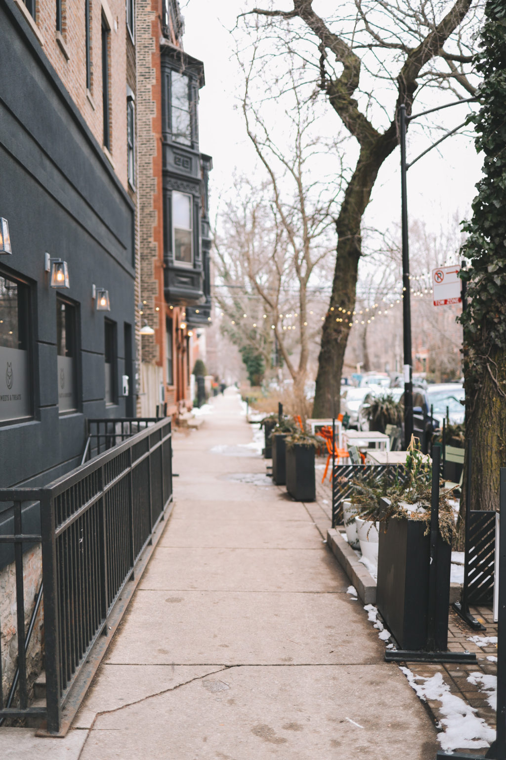 A Walk Through Lincoln Park | Kelly in the City | Lifestyle Blog