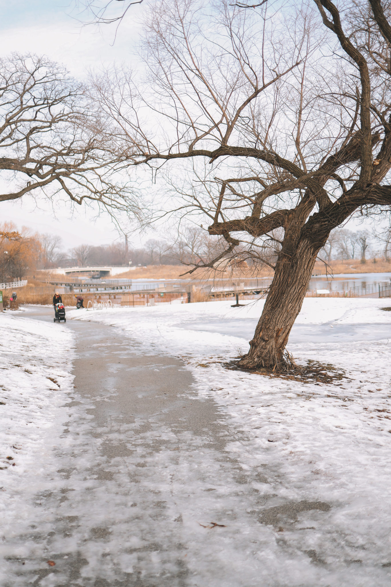 A Recent Walk Through Lincoln Park | Kelly in the City