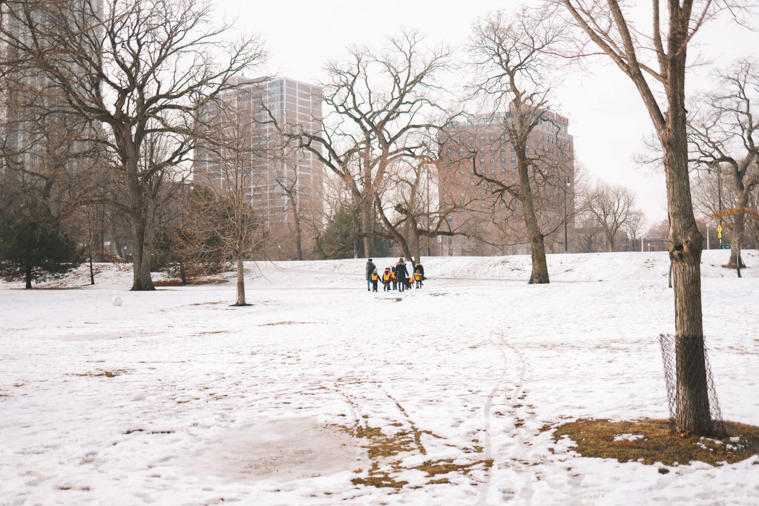 A Recent Walk Through Lincoln Park | Kelly in the City