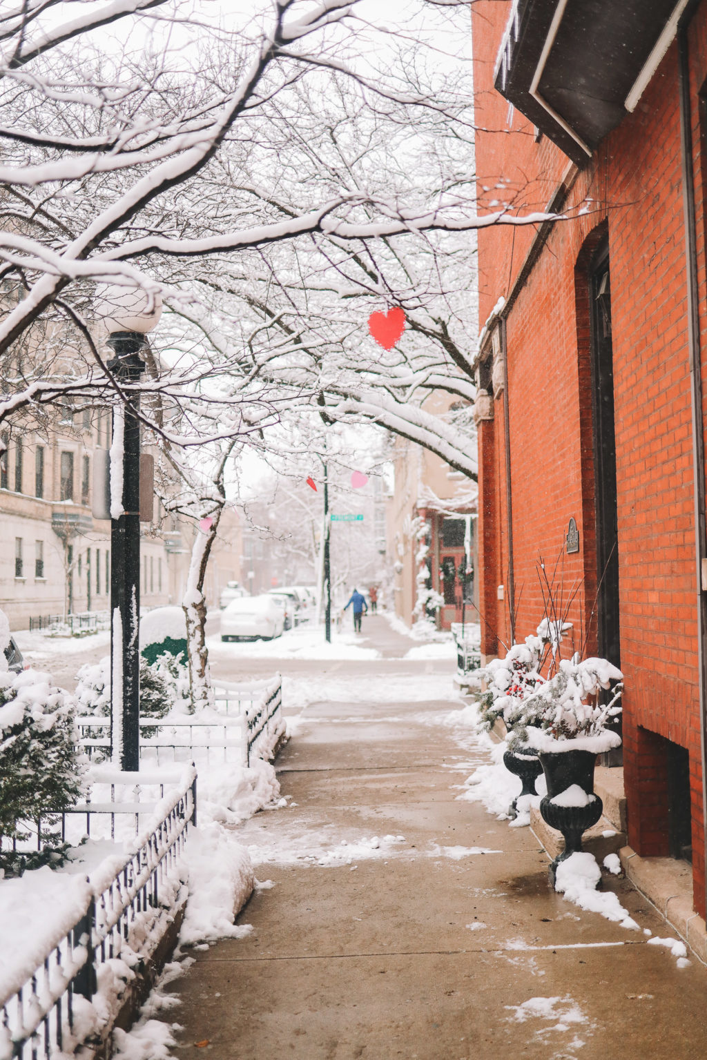 Happiness Walk Through Lincoln Park, Vol. 4 | Kelly in the City