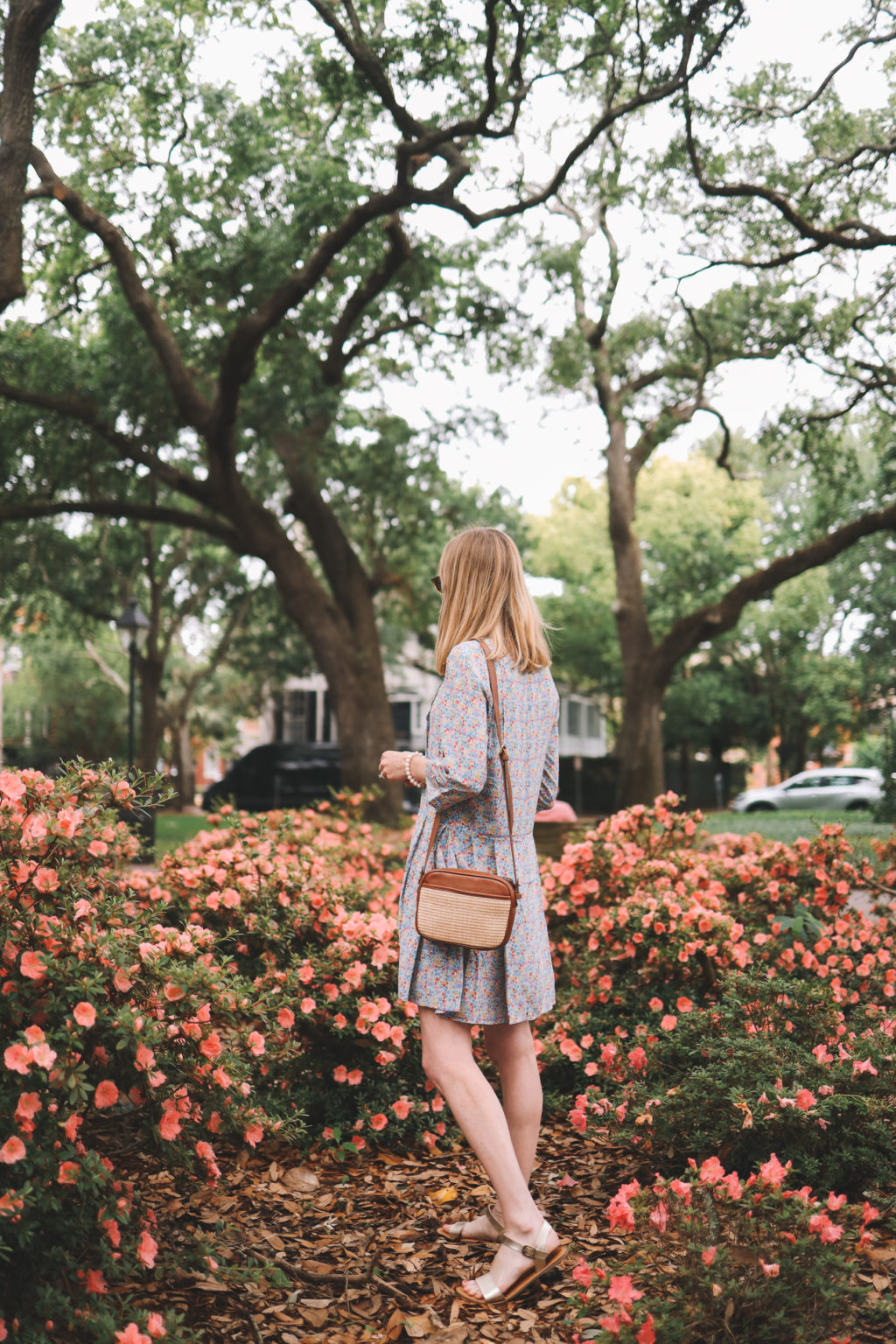 My Favorite Tuckernuck Dresses | Kelly in the City