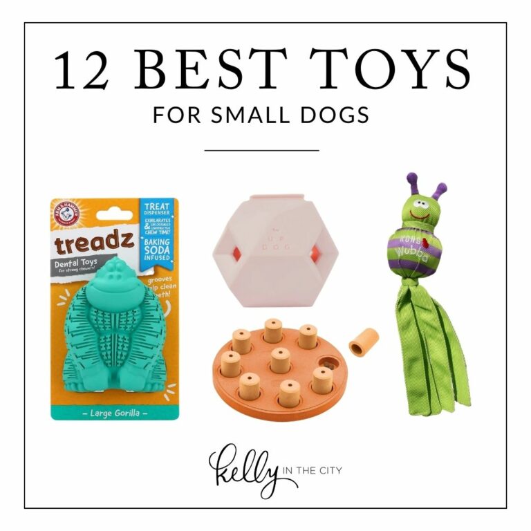 12 Best Toys For Small Dogs | Kelly in the City