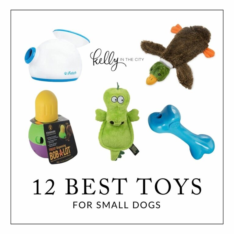 12 Best Toys For Small Dogs | Kelly in the City